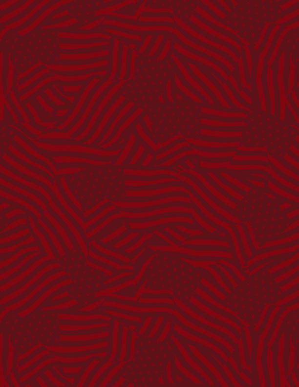 Stars of Valor: Red Flag Texture