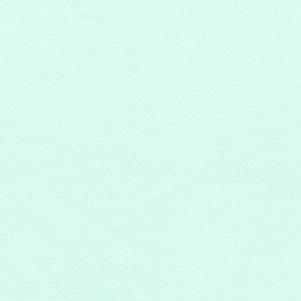 Flannel Solid: Sea Mist