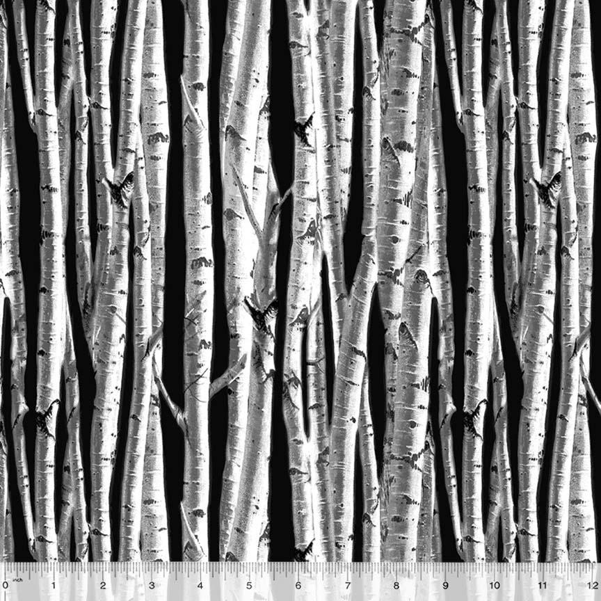Fletcher: Black Birch Forest